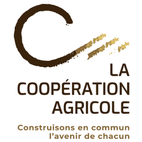 Eurasolis - Votre Partenaire en Énergie Solaire